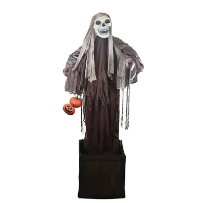 Halloween smrtka v krabici LED X5912 | MOREX